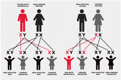 Contact - Welcome to Biofemgroup