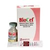 Our Products - Welcome to Biofemgroup