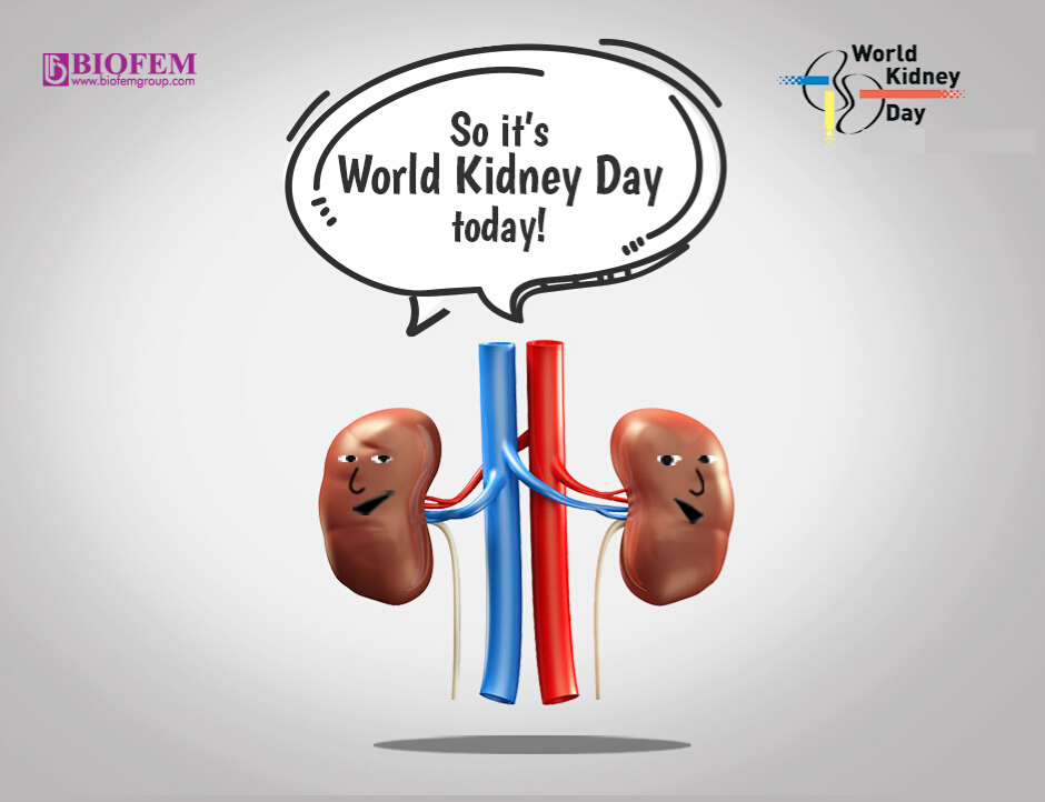 KIDNEY FACTS: WHAT YOU SHOULD KNOW - Welcome to Biofemgroup KIDNEY FACTS: WHAT YOU SHOULD KNOW - Welcome to Biofemgroup